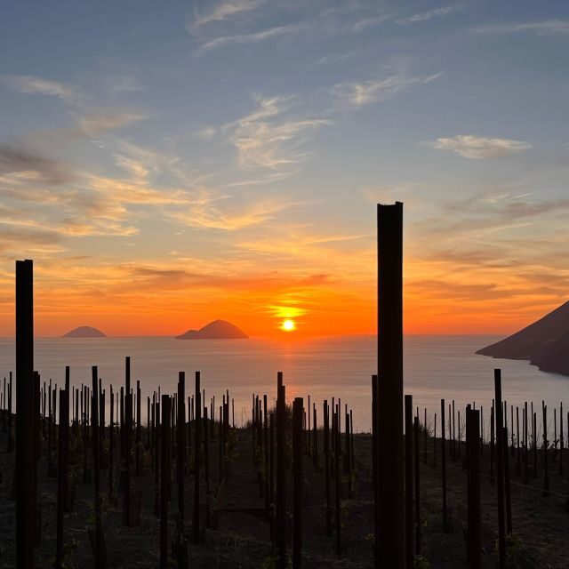 LIPARI WINERY - PIC NIC IN THE VINEYARD - The Itinerary Breakdown