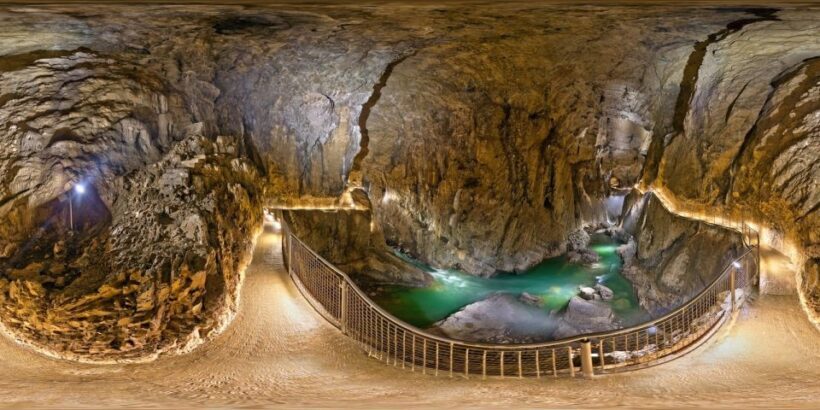 Lipica Stud Farm and kocjan Caves from Trieste - The Sum Up