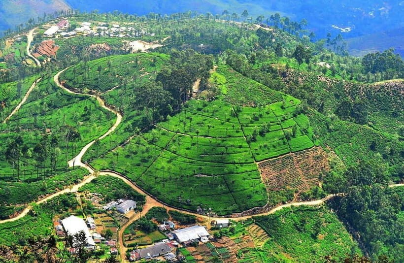 Lipton's Seat, Adisham Bungalow, Dambetenna Tea Factory Tour - An In-Depth Look at the Tour Experience