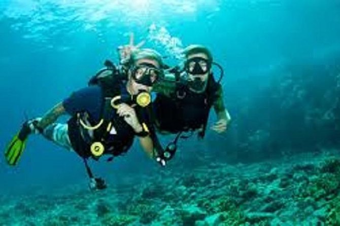Lisbon Active Tourism - Diving in Arrábia - Sesimbra - Scenic Drive & Coastal Beauty