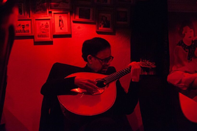 Lisbon: Alfama Tour and Live Fado with Traditional Dinner - The Itinerary: What You Can Expect