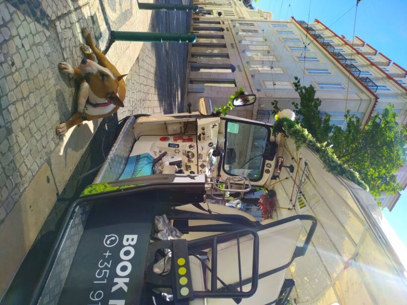Lisbon: All City Premium Private Guided Tour by Tuk-Tuk - Analyzing the Value