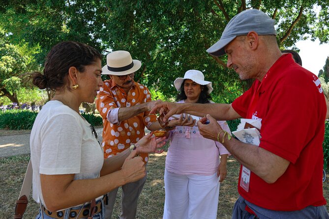 Lisbon and Belém Half Day Small Group Experience Tour - Authenticity and Reviewer Insights