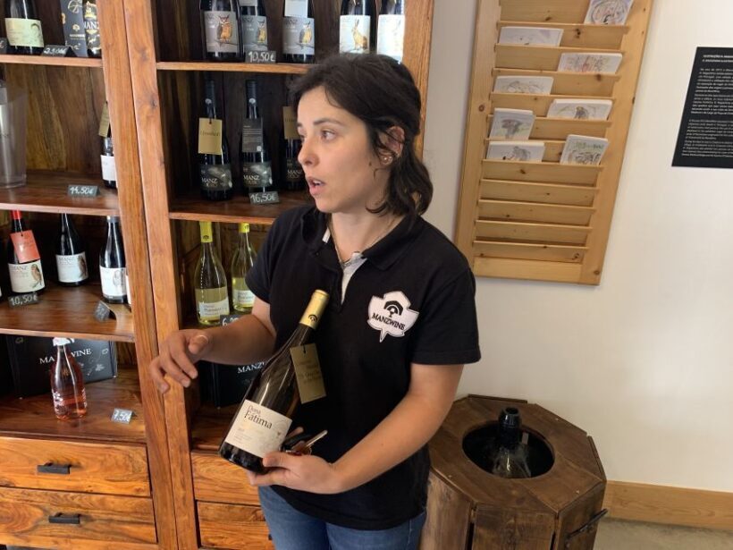 Lisbon Area Wine Tour - The Heart of the Wine Region: Wineries and Tastings