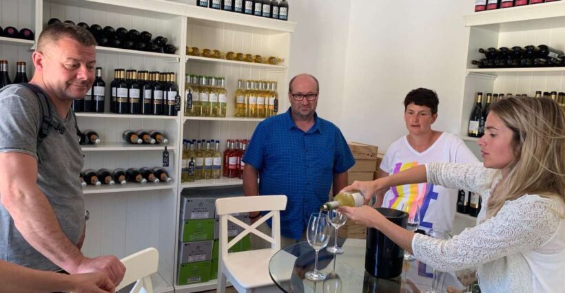 Lisbon Area Wine Tour - Analyzing Value: Is This Tour Worth It?