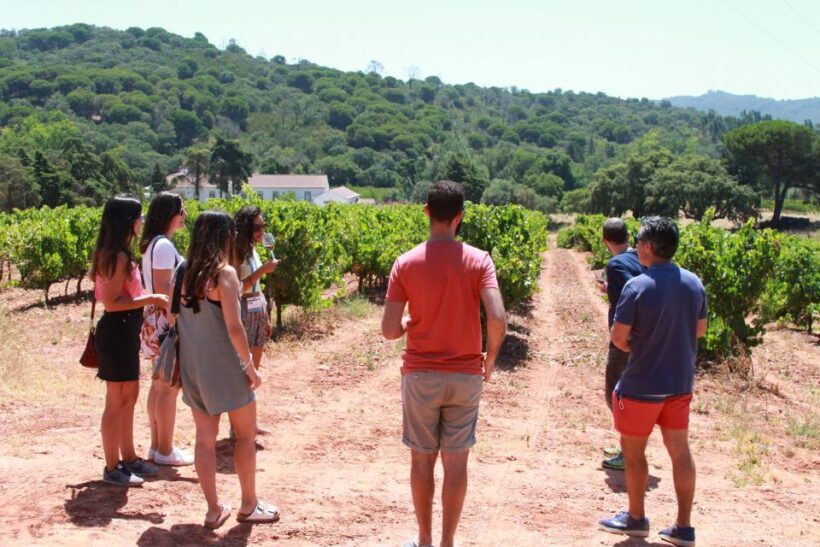 Lisbon: Arrábida and Sesimbra Day Trip with Wine - Introduction: What Makes This Tour Stand Out