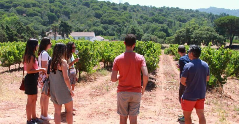 Lisbon: Arrábida and Sesimbra Day Trip with Wine - Transportation and Group Size