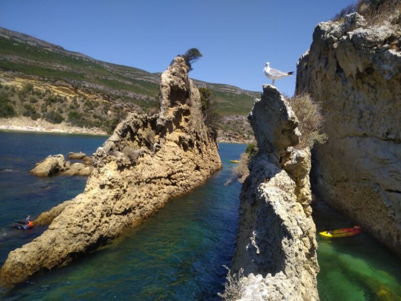 Lisbon: Arrábida Kayak and Coasteering Adventure Tour - The Sum Up