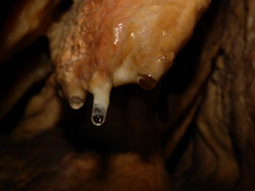 Lisbon: Arrábida Natural Park Cave Tour with Guide - Logistics and Practicalities
