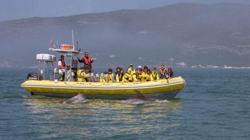 Lisbon: Arrábida Natural Park Dolphin Watching Boat Tour - Who Will Love This Experience?