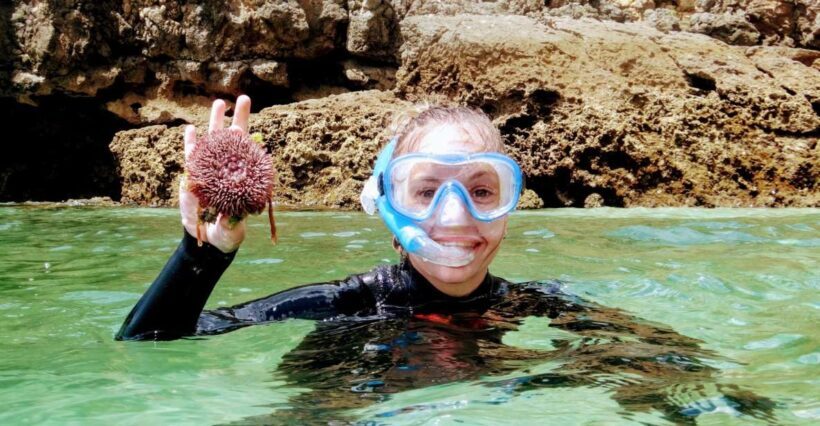Lisbon: Arrábida Snorkeling Adventure - Key Points