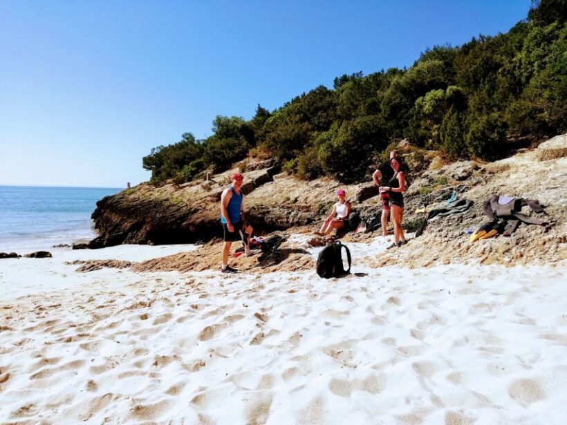 Lisbon: Arrábida Snorkeling Adventure - An In-Depth Look at the Arrábida Snorkeling Experience