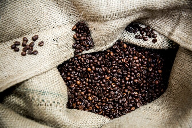 Lisbon Awakens: A Culinary Crossroads, Reborn. - Who Will Love This Tour?