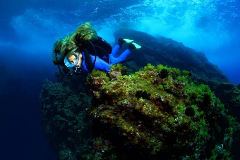 Lisbon: Become a Scuba Diver in 3-Days - Lisbon: Become a Scuba Diver in 3-Days – A Detailed Look