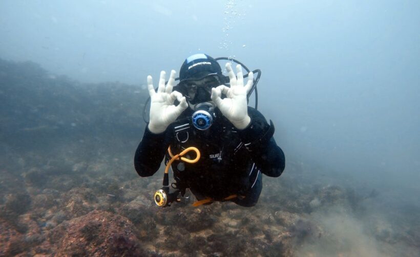 Lisbon: Become a Scuba Diver in 3-Days - Who Will Love This Experience?
