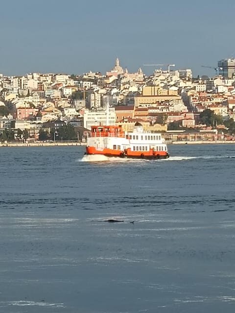 Lisbon: Belem Tour & Jeronimos Monastery Skip-the-Line Entry - Frequently Asked Questions