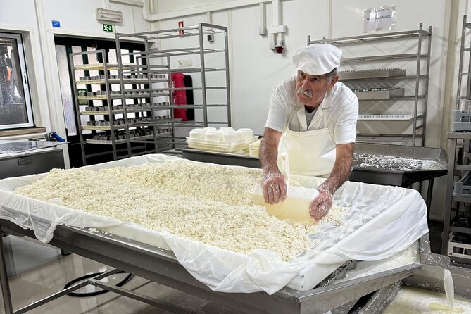 Lisbon Cheese Factory Visit, Wine Tasting and Tile Painting Tour - Logistics and Practical Details