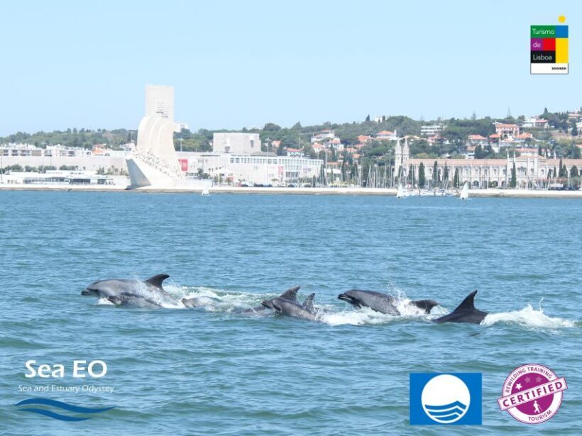 Lisbon: Dolphin Watching with Marine Biologist - FAQ
