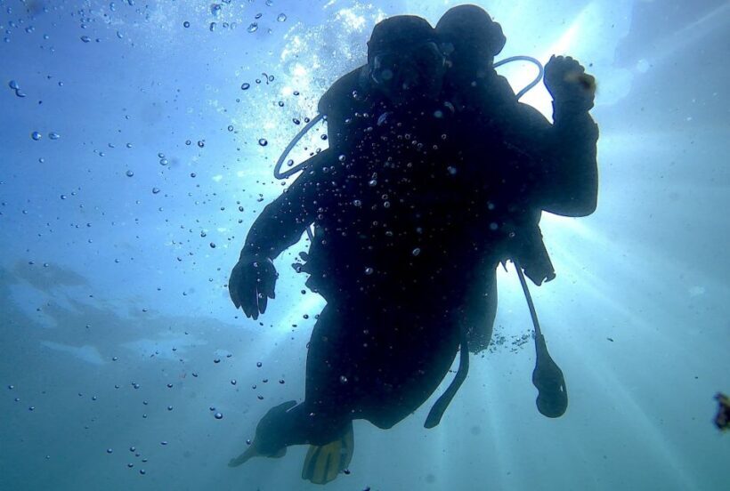 Lisbon: Eco-Friendly Beginner's Scuba Diving - The Itinerary in Detail