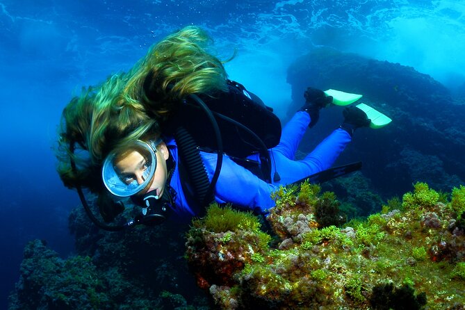 Lisbon Eco-Try Dive - Diving Baptism - Reviews and Testimonials From Previous Participants