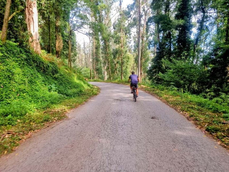 Lisbon: Explore Lisbons Green Lung & Belém by E-Bike - Key Points