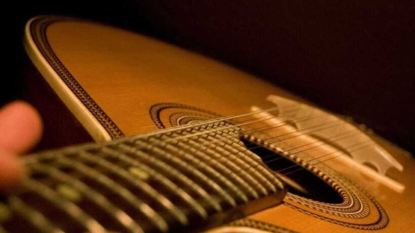 Lisbon: Fado Experience Private Tour - Practical Details & What They Mean for You
