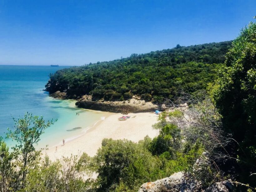 Lisbon: Full-Day Arrabida Kayak Tour with Picnic - An In-Depth Look at the Arrabida Kayak Tour