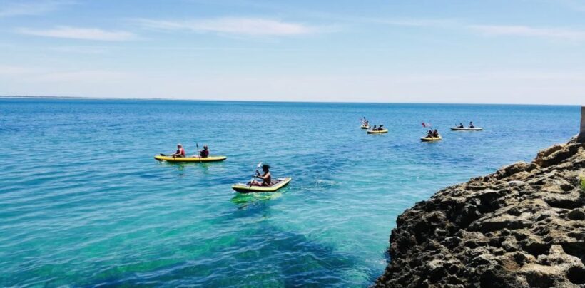 Lisbon: Full-Day Kayak Tour with Picnic and Transfer - Final Thoughts