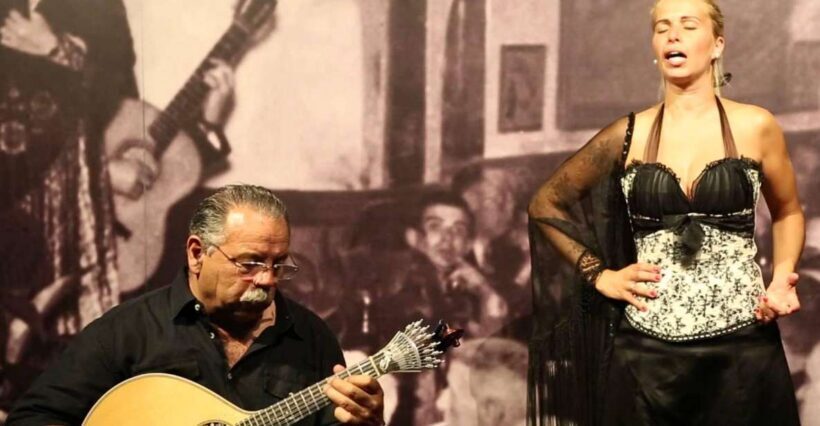Lisbon: Half-Day Night Group Tour w/ Fado Dinner Show - Authenticity and Traveler Feedback