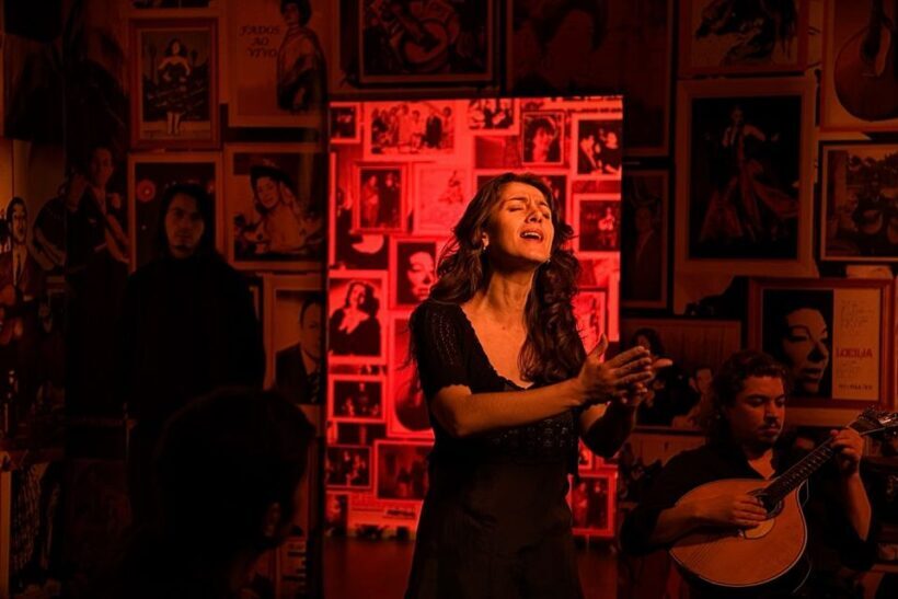 Lisbon: Half-Day Night Group Tour w/ Fado Dinner Show - The Sum Up