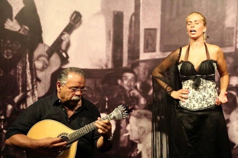 Lisbon: Half-Day Night Group Tour w/ Fado Dinner Show - FAQ