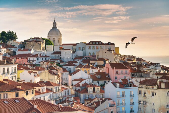 Lisbon Half Day Private Tour - Authentic Experiences and Authenticity