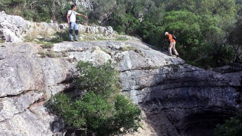 Lisbon: Hiking in Arrábida Natural Park - Who Will Love This Tour?