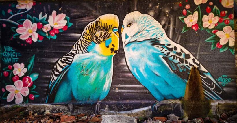 Lisbon: Lost Places & Streetart-Tour for Photographer - An In-Depth Look at the Tour
