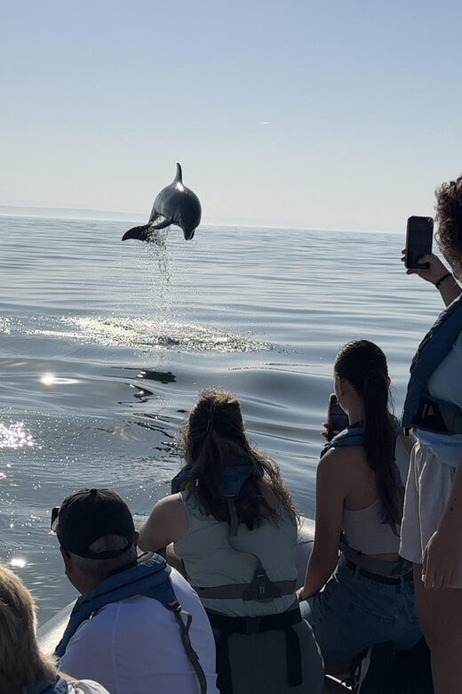 Lisbon: MAAT Entry Ticket & Dolphin Watching Boat Tour - Exploring MAAT: Art, Architecture, and Innovation