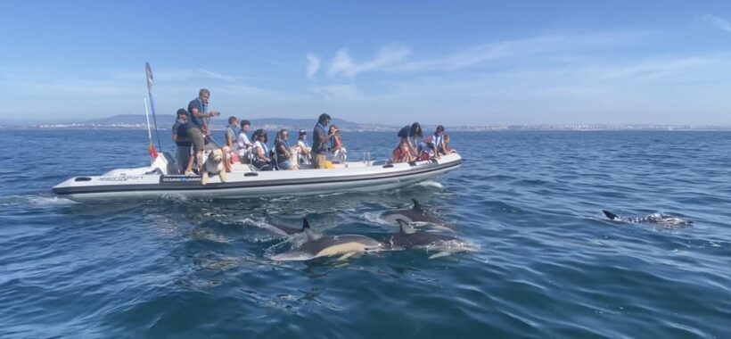 Lisbon: MAAT Entry Ticket & Dolphin Watching Boat Tour - Who Is This Tour Best For?