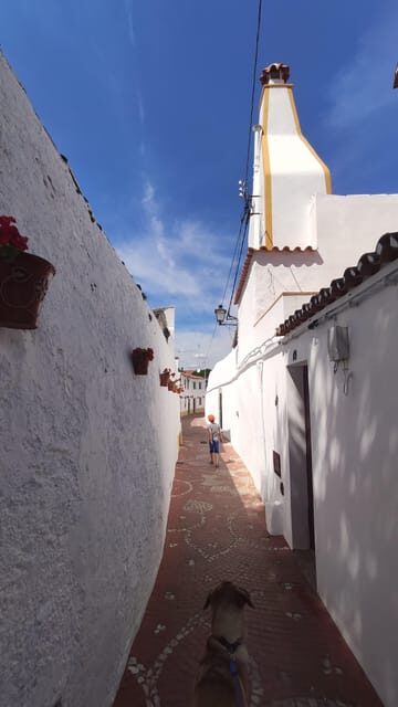 Lisbon: Marvão, Castelo de Vide, and Nisa Day Tour - The Sum Up: Who Is This Tour Best For?
