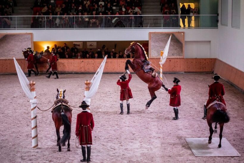 Lisbon: Morning of Equestrian Art with Lusitano Horses - What to Expect from Your Morning at the Lusitano Stables