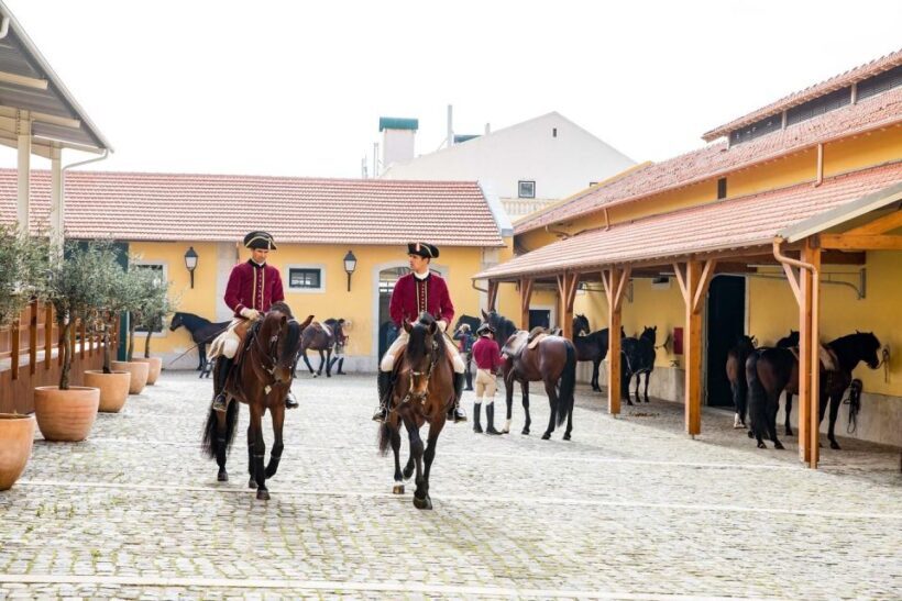 Lisbon: Morning of Equestrian Art with Lusitano Horses - Authenticity and the Experience of Watching Lusitano Horses