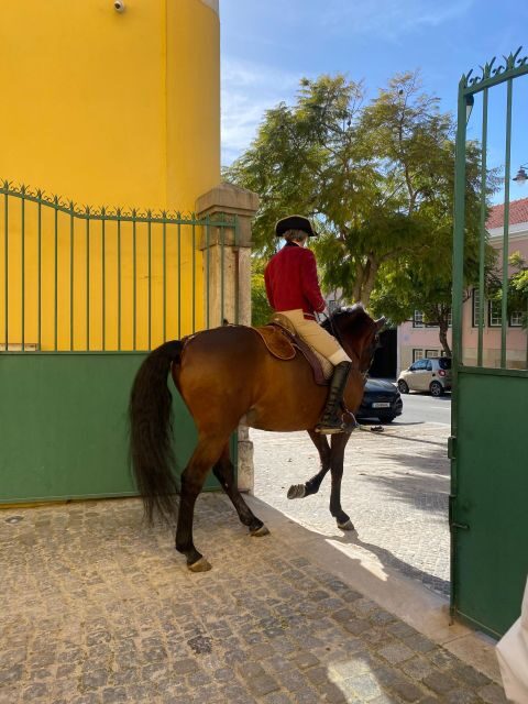 Lisbon: Morning of Equestrian Art with Lusitano Horses - Who Is This Tour Best For?