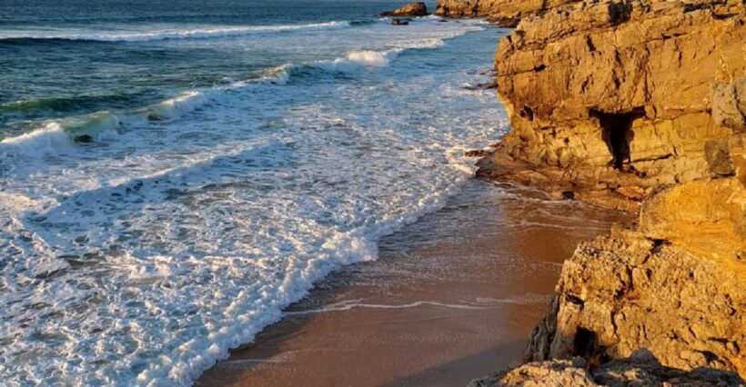 Lisbon Natural Coastal Adventure - Analyzing the Value