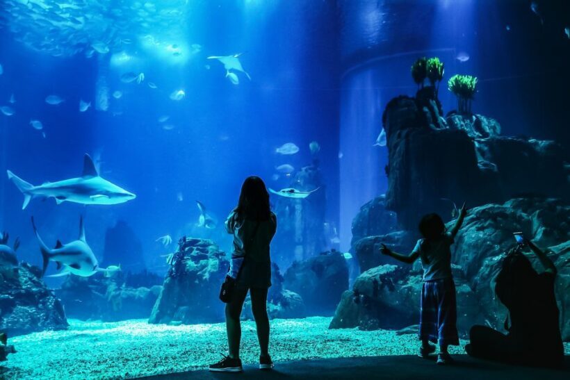 Lisbon: Oceanário de Lisboa Entrance Ticket - What Visitors Say