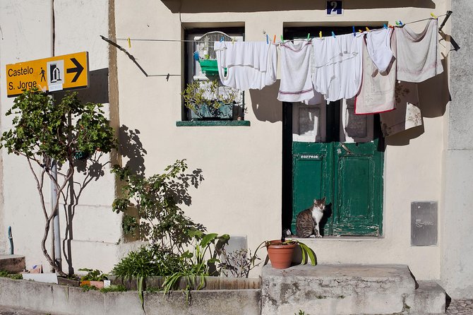 Lisbon Off The Beaten Track and Main Sights Private Walking Tour - Booking Information and Participant Requirements