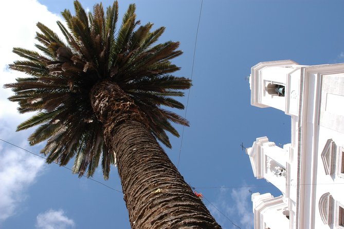 Lisbon Old Town Tour - Tour Conditions and Requirements