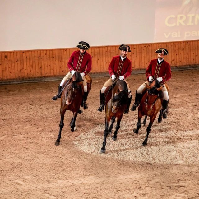 Lisbon: Portuguese Riding School Trainig with Lusitano Horse - What to Expect from Your Morning at the Portuguese Riding School