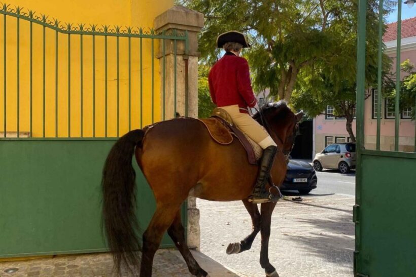 Lisbon: Portuguese Riding School Trainig with Lusitano Horse - Practical Details & Tips