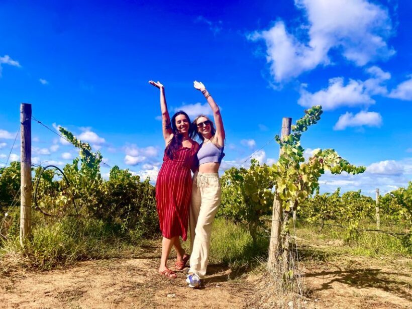 Lisbon: Private All Inclusive Setúbal & Arrábida Wine Tour - Exploring the Lisbon: Private All Inclusive Setúbal & Arrábida Wine Tour