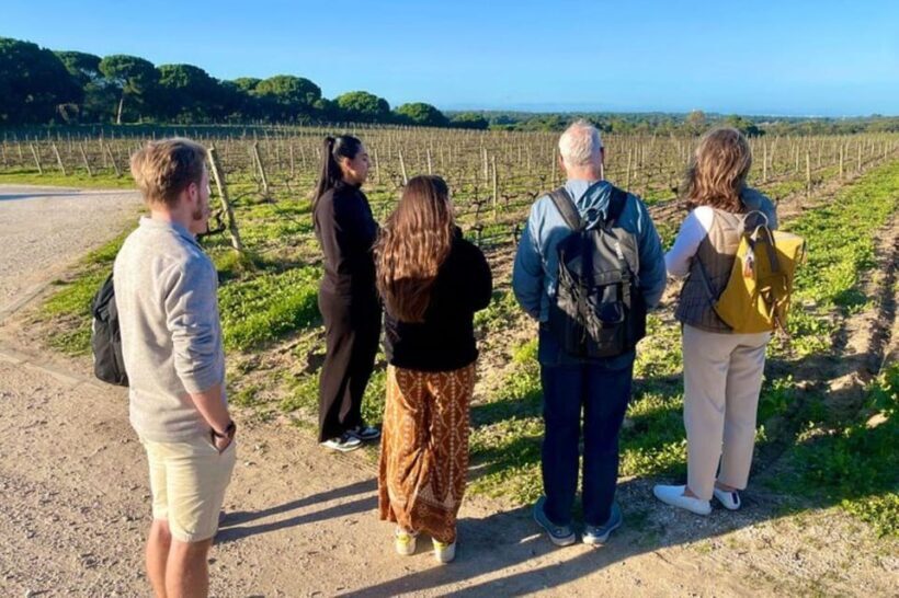 Lisbon: Private All Inclusive Setúbal & Arrábida Wine Tour - Who Should Consider This Tour?