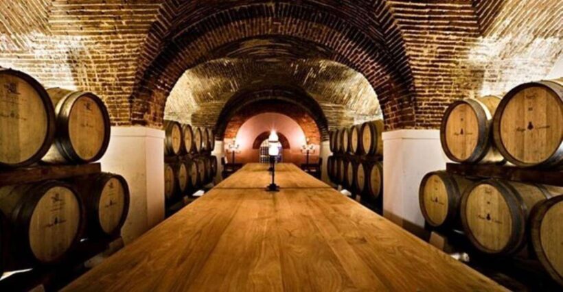 Lisbon: Private Full Day Evora & Alentejo Wine Tour - The Experience in Detail