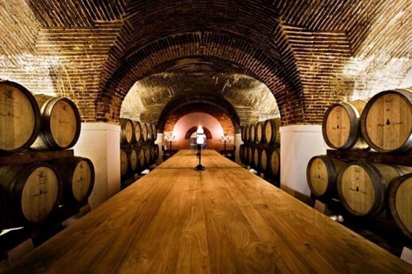 Lisbon: Private Full Day Evora & Alentejo Wine Tour - Final Thoughts